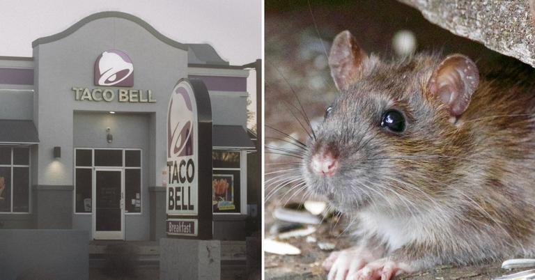 Man 'Possibly Consumed Rat Poison' In Taco Bell Food: Sheriff