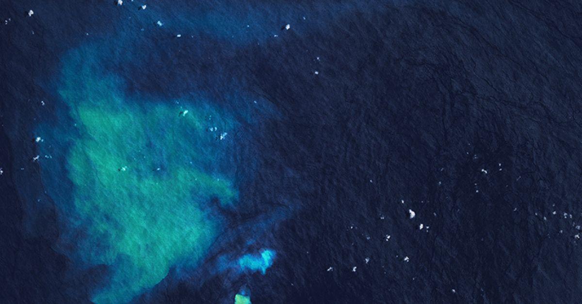 'Superstructure' Building Huge Plateau Under Pacific, Study Says