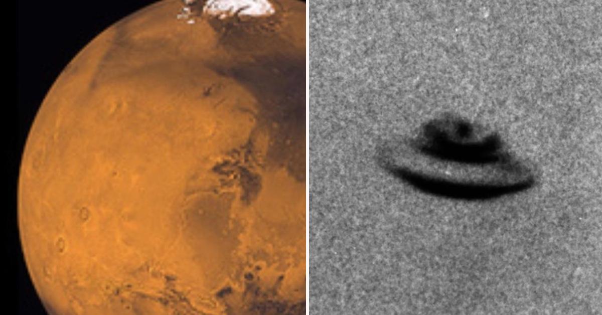 NASA Discovered Alien Life But Killed It Off by Mistake: Expert