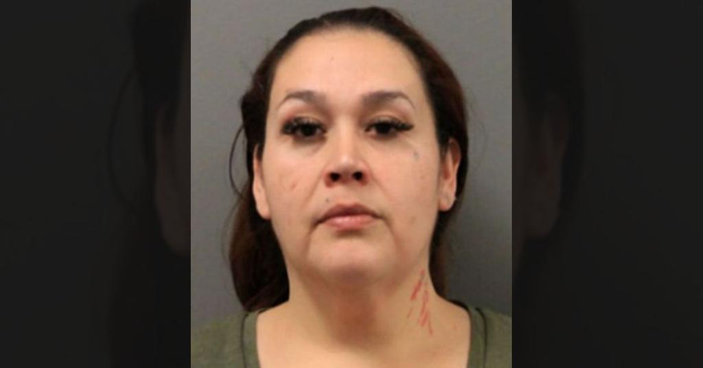 Mugshots of Week: Woman Accused of Shoplifting; Armed Robbery; and More