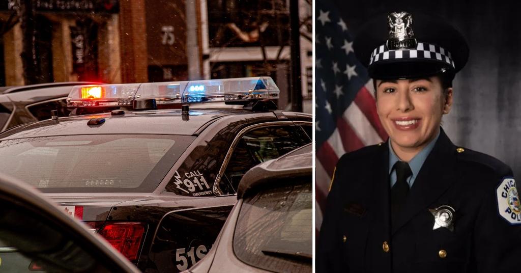 Police arrest mother of brothers accused of shooting Chicago officer
