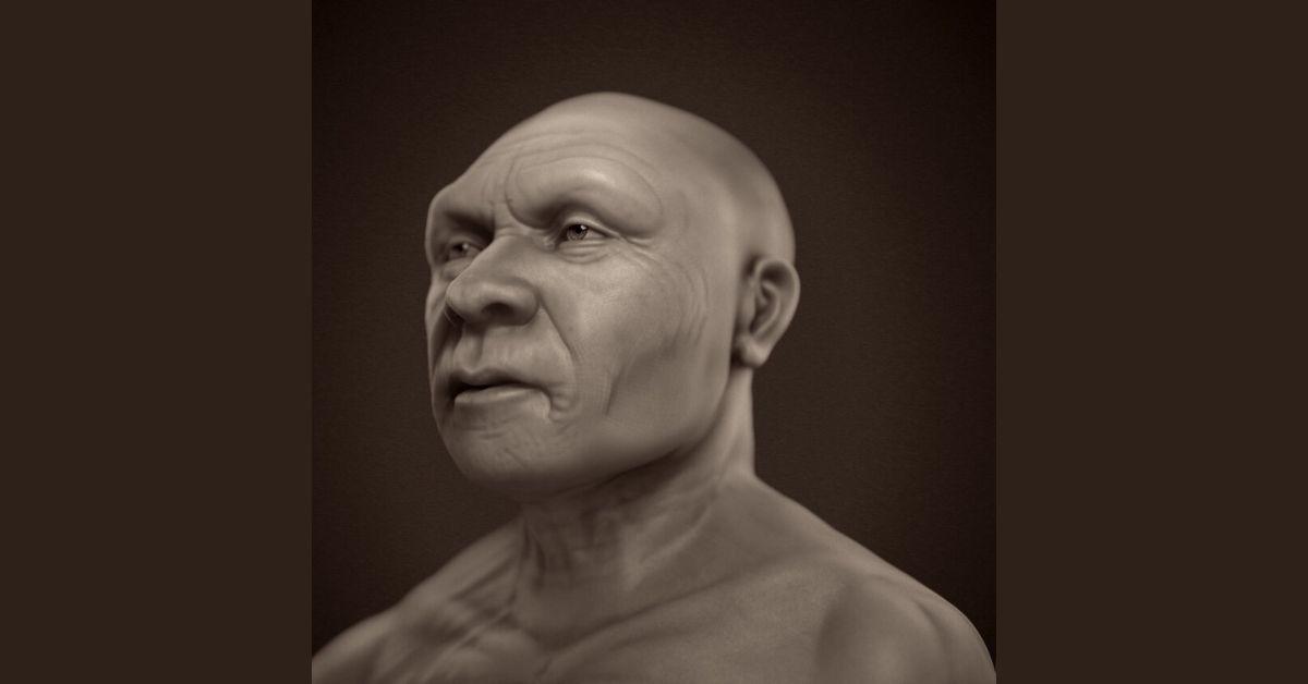 Digital Images of Neanderthal Man Show 'Softer' Features
