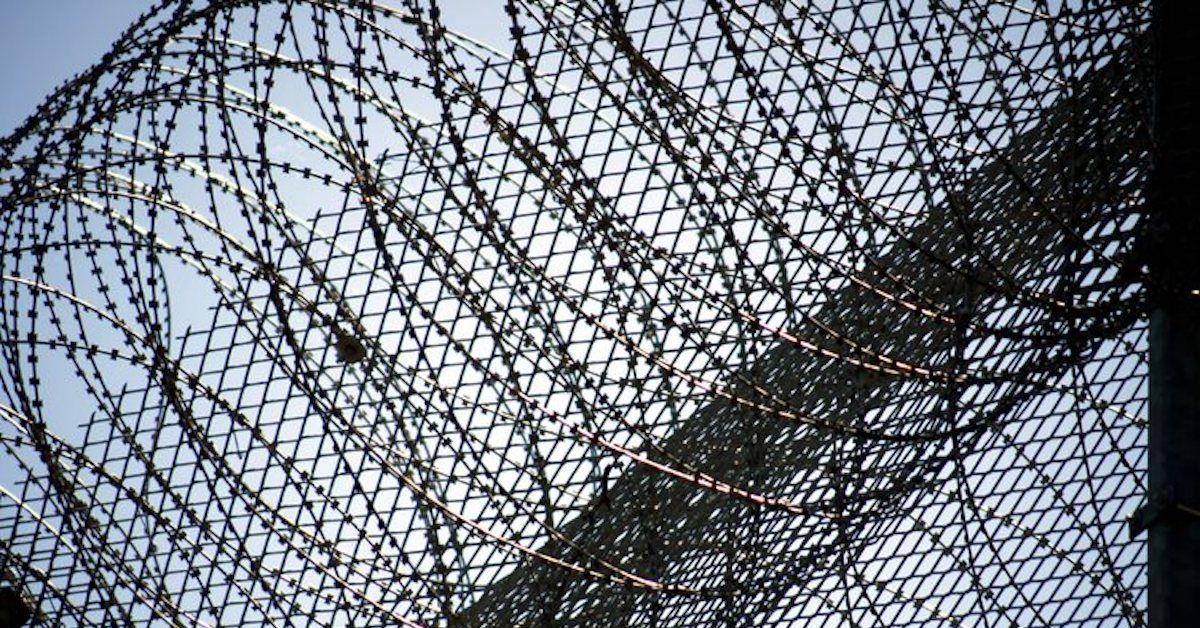 Minnesota Man Accused of Attacking Burglar With Barbed Wire Baseball Bat