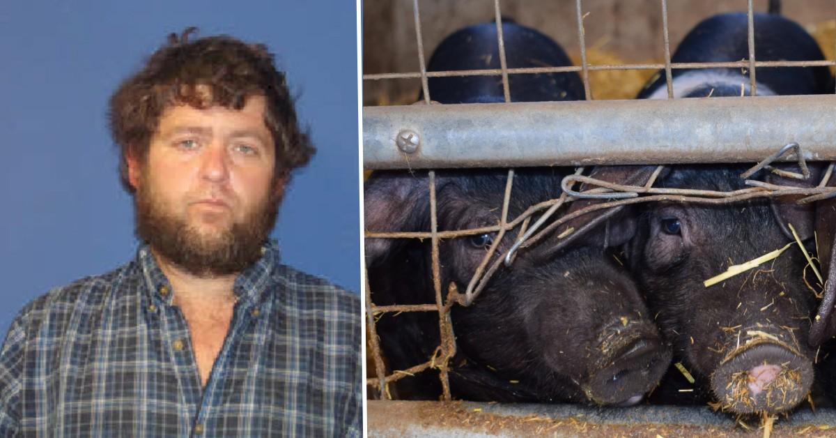 North Carolina man charged for murder at pig farm, cops say