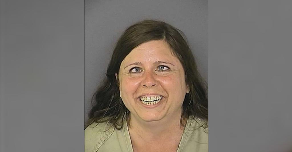 Here Are 10 Crazy Mugshots And The Stories Of The Arrests