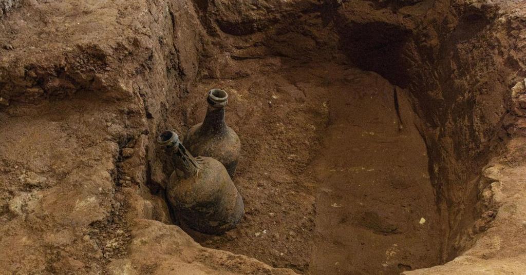 18th-Century Cherries Discovered at Home of George Washington